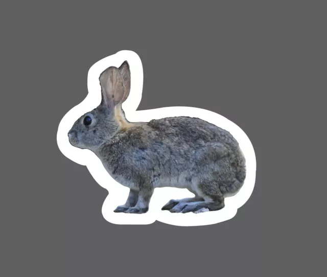Rabbit Sticker Waterproof Realistic Hare Sticker Phone Decal Water ...