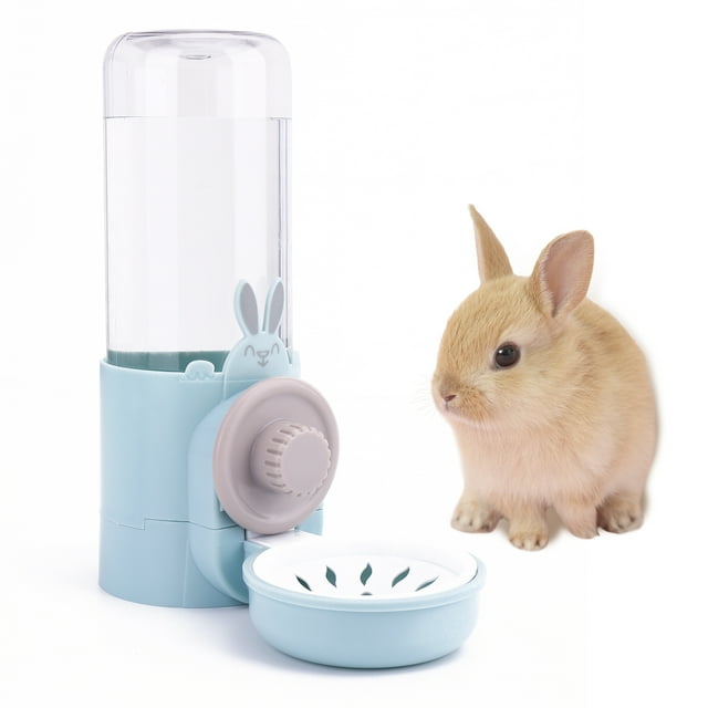 Rabbit Water Bottle 500ml Non Drip Small Pet Automatic Water Dispenser （Light Blue） - Walmart.com