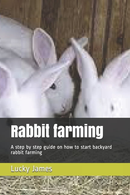 Rabbit farming: A step by step guide on how to start backyard rabbit ...