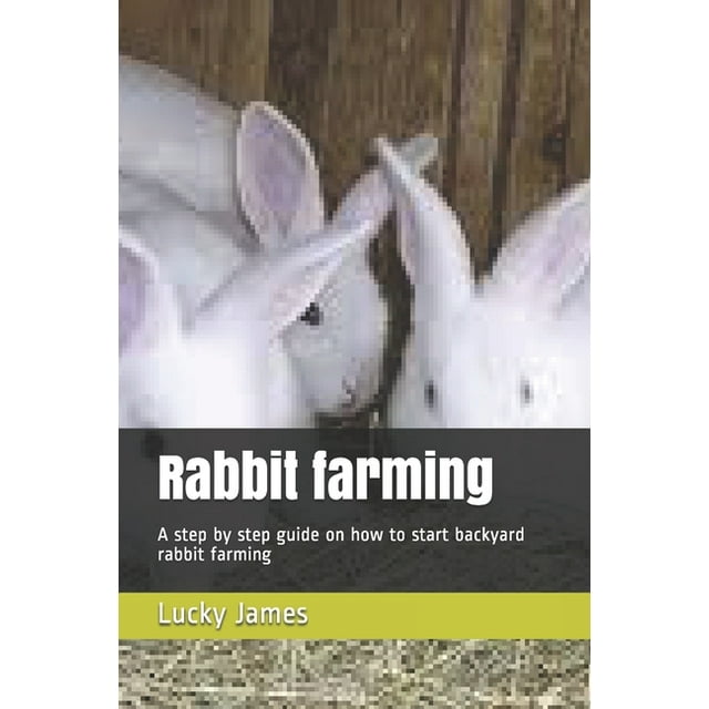 Rabbit farming: A step by step guide on how to start backyard rabbit ...