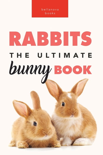 Rabbits : 100+ Amazing Rabbit Facts, Photos, Species Guide & More ...