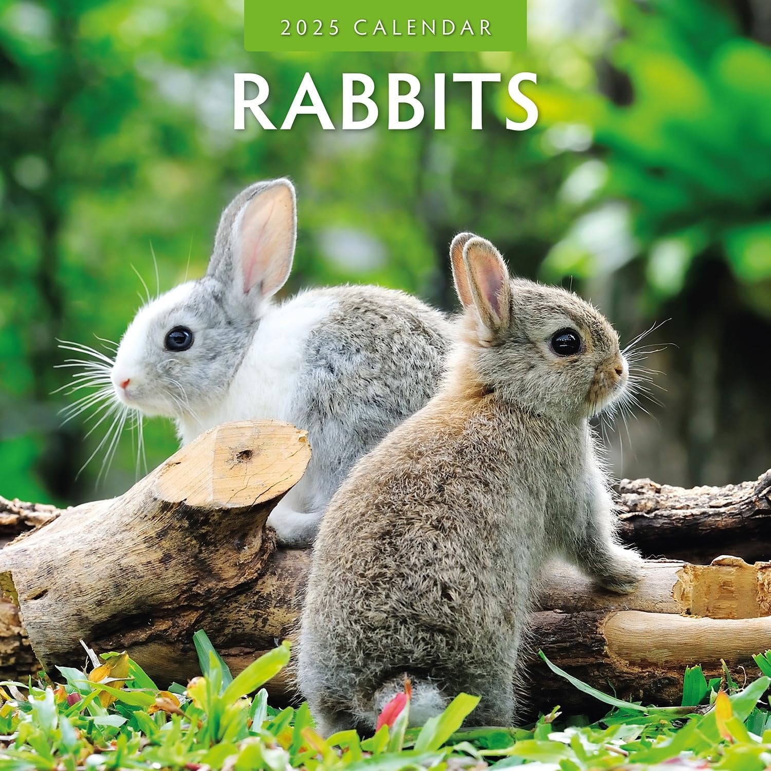 Rabbits 2025 Square Wall Calendar - Walmart.com
