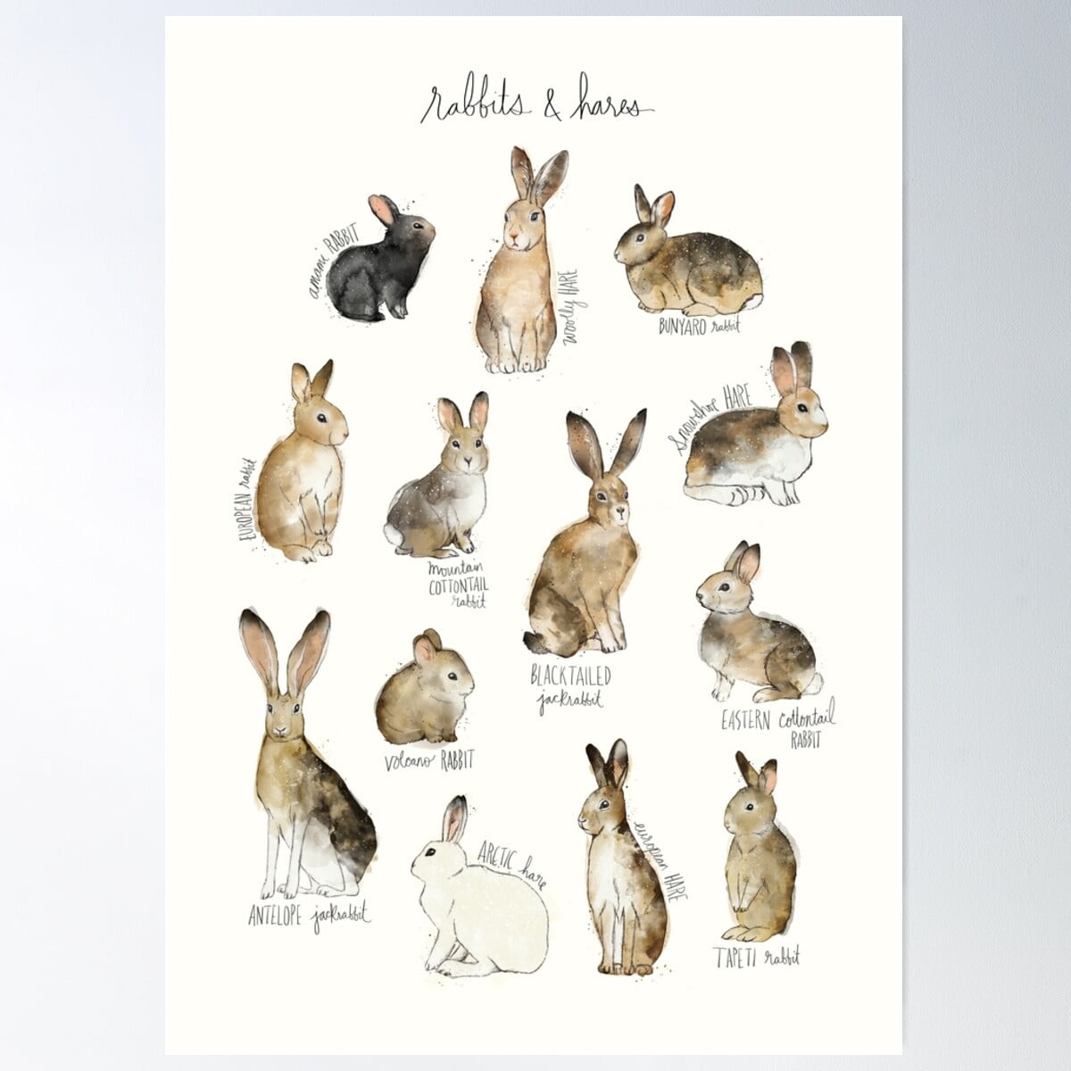 Rabbits & Hares Poster Wall Art, Modern Wall Decor For Living Room ...