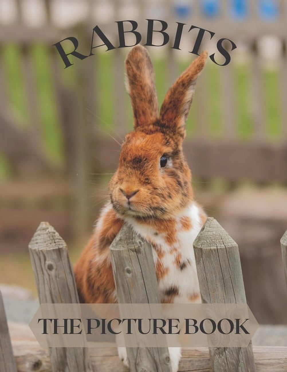 Rabbits: The Picture Book of Cute Rabbits Perfect Gift for Patients ...