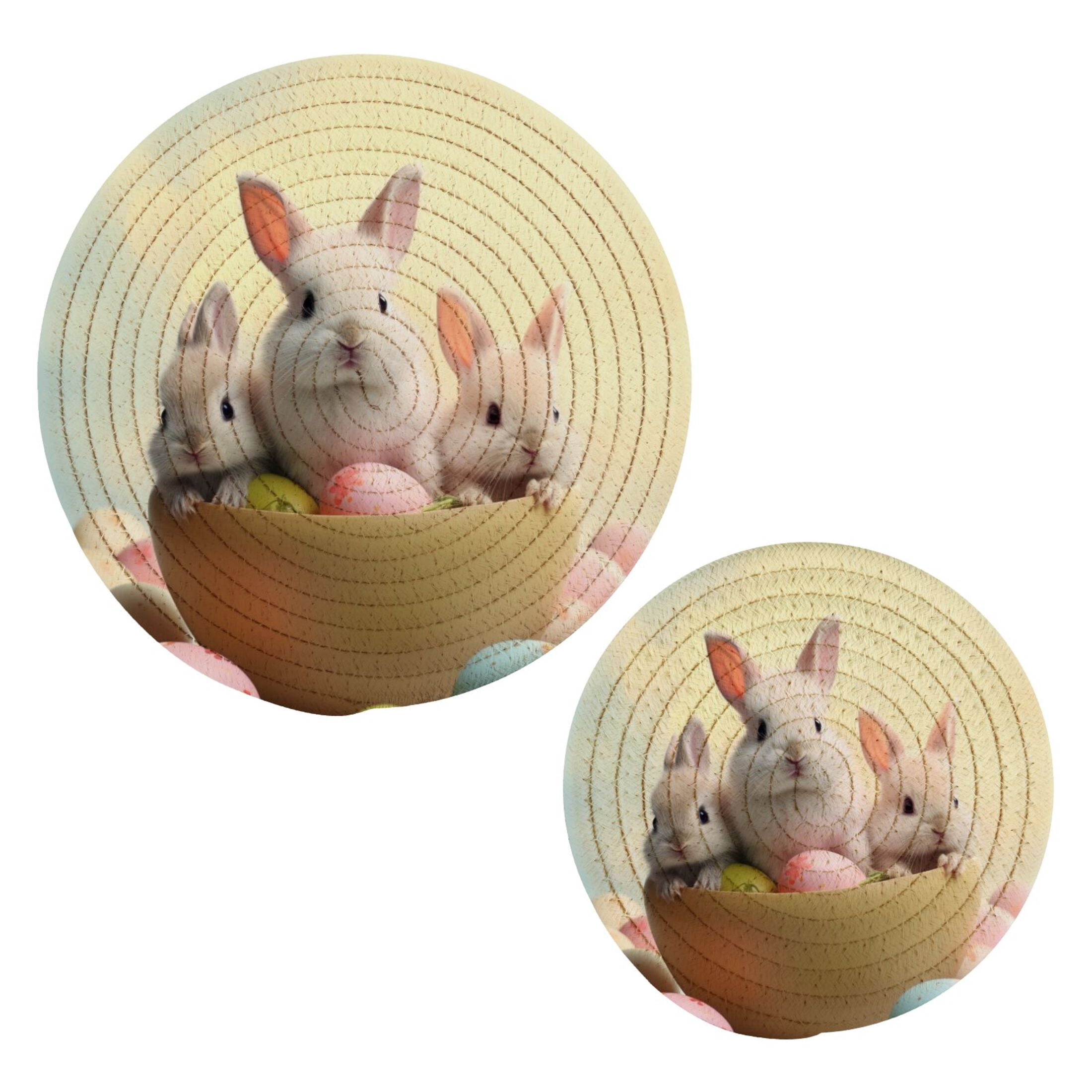 Rabbits and Easter Eggs Trivet Mats Pot Holders Cotton Woven Non-Slip ...