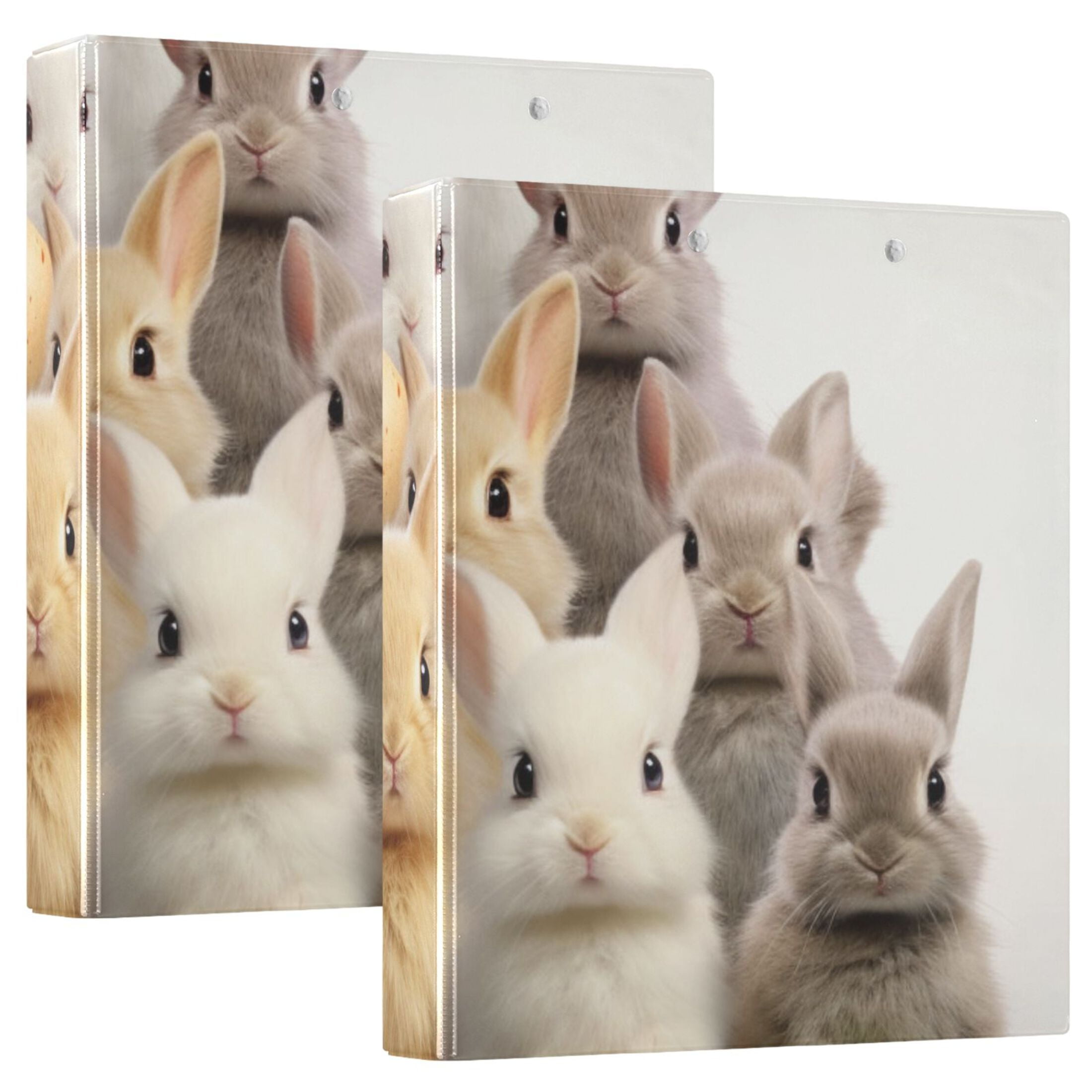 Rabbits in Easter Eggs 3 Ring Binders 1.5 inch Hardcover File Folders ...