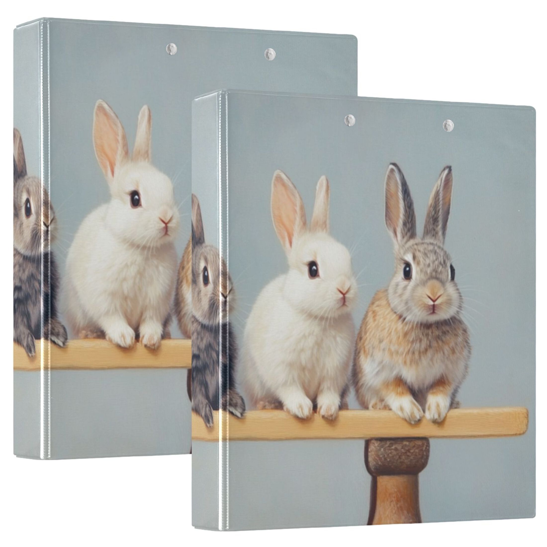 Rabbits in Row on Balance Beam Round Ring Binder 3 Rings 1.5" Capacity ...