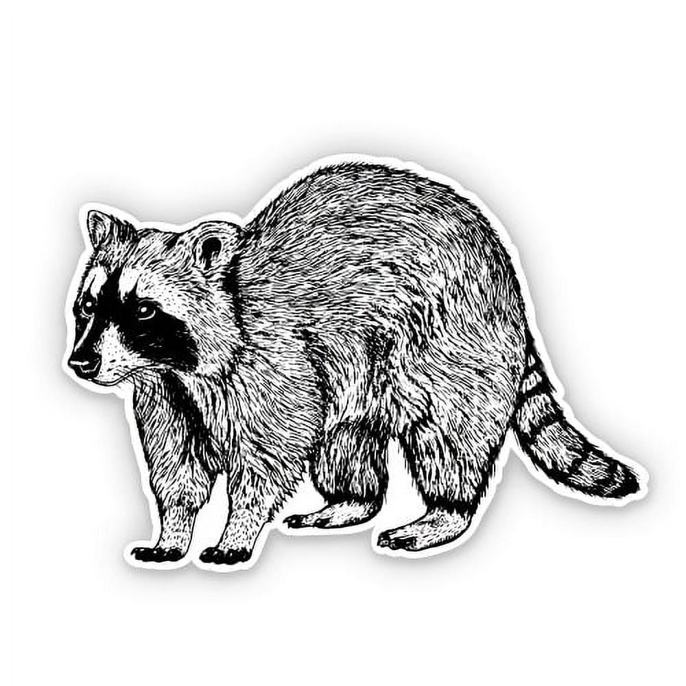Raccoon - 12" Vinyl Sticker Waterproof Decal - Walmart.com