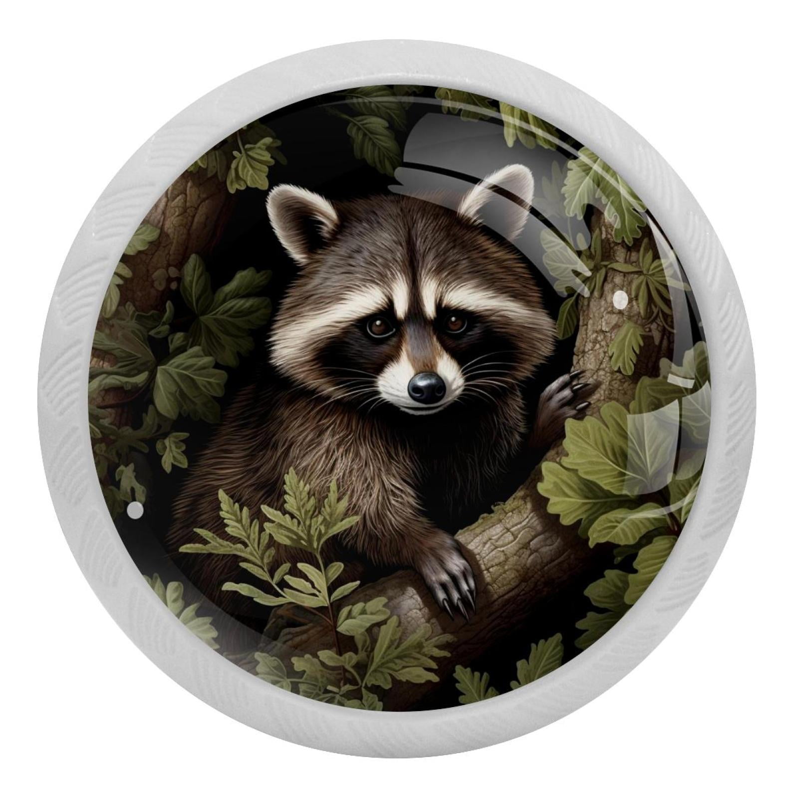 Raccoon Animals Pattern 4PCS Cabinet Knobs Pulls Fluorescent Drawer ...