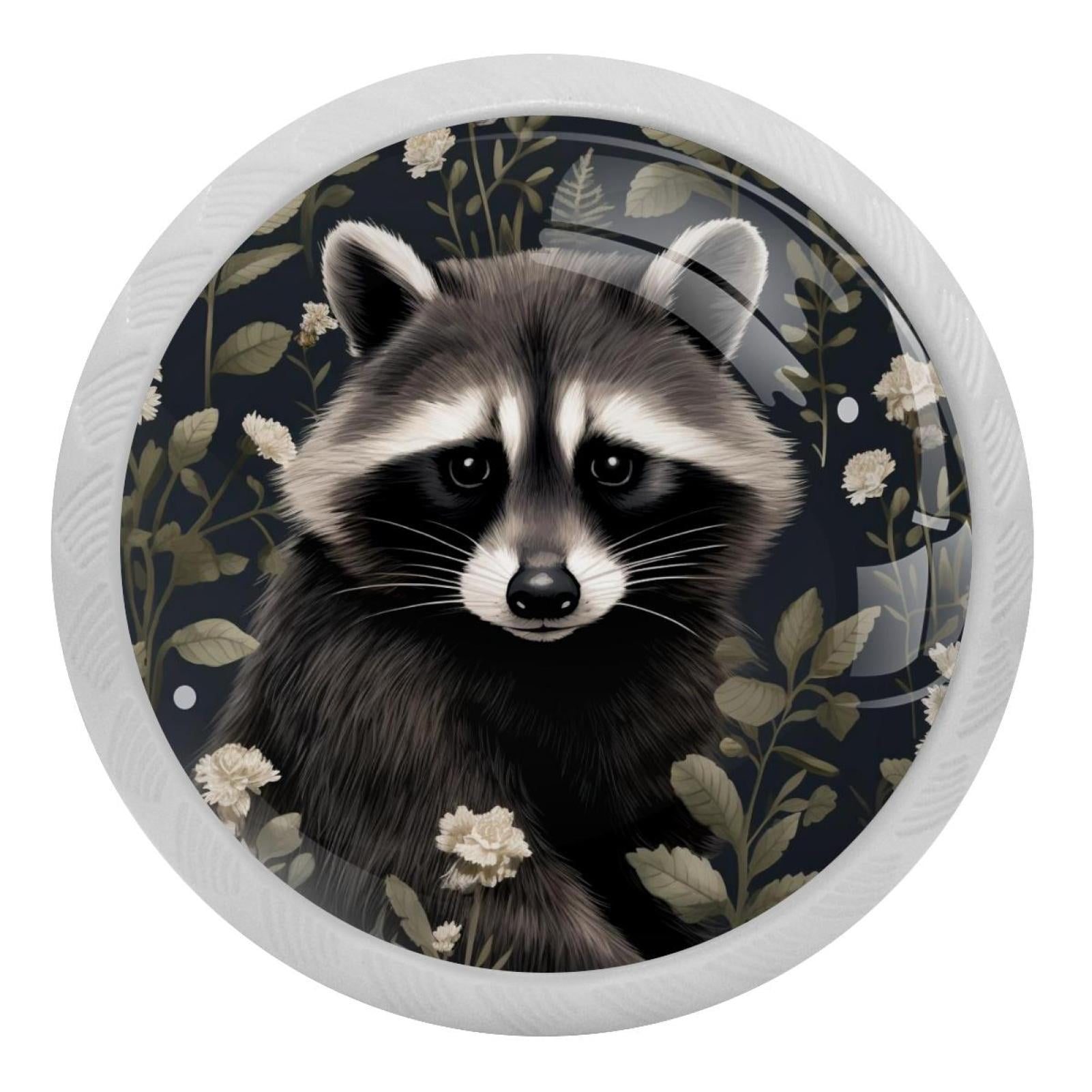 Raccoon Animals Pattern 4PCS Cabinet Knobs Pulls Fluorescent Drawer ...