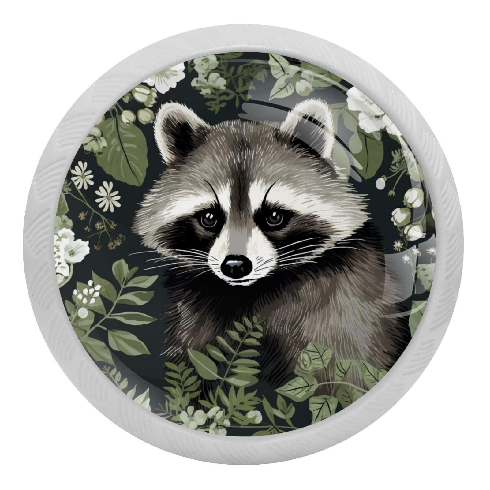 Raccoon Animals Pattern 4PCS Cabinet Knobs Pulls Fluorescent Drawer ...