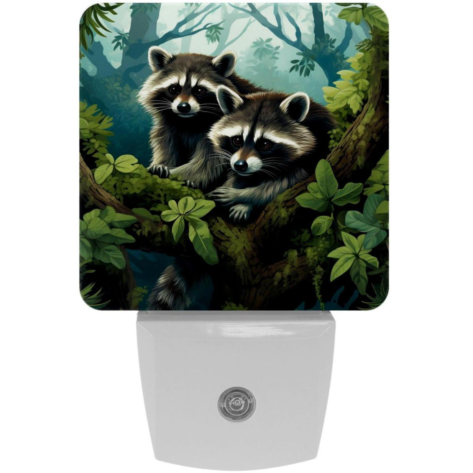 Raccoon LED Square Night Light - Energy Efficient and Stylish ...