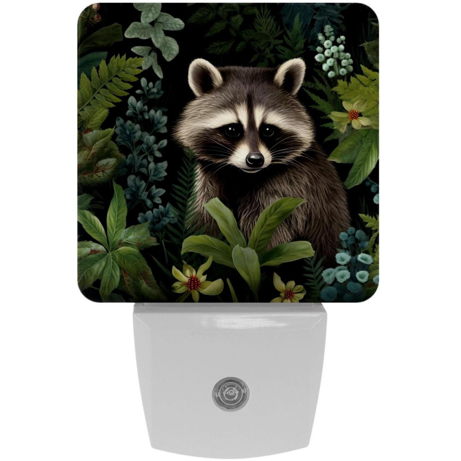 Raccoon LED Square Night Light - Small and Bright Square-shaped LED ...