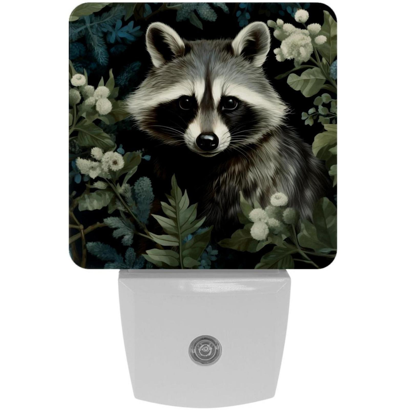 Raccoon LED Square Night Lights - Bright and Compact Bedroom or ...