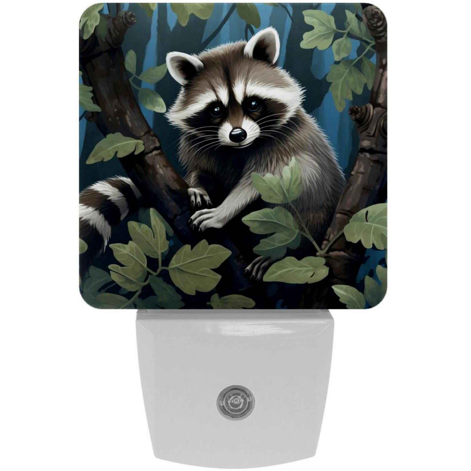 Raccoon LED Square Night Lights - Energy Efficient and Contemporary ...