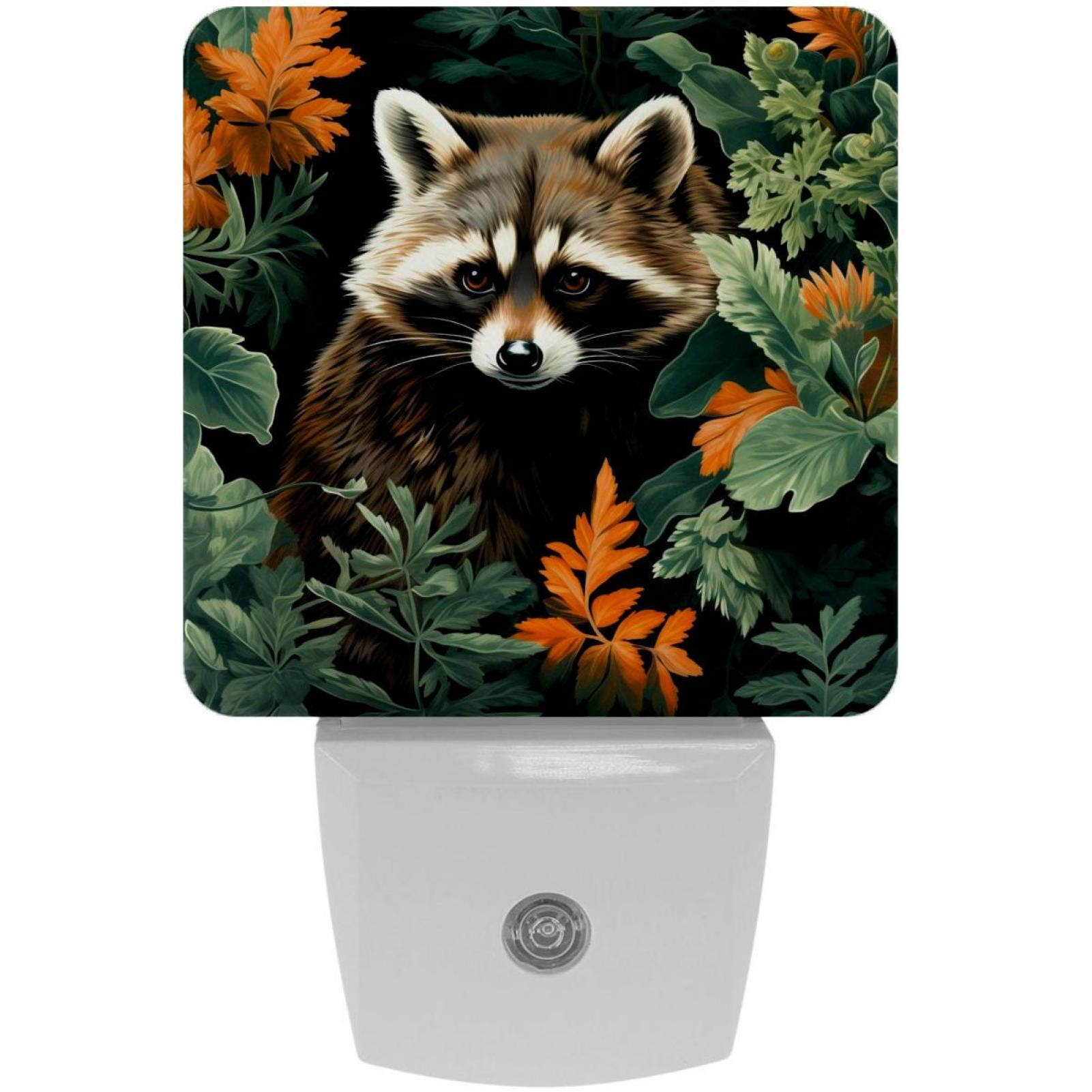 Raccoon LED Square Night Lights - Energy Efficient and Stylish Bedroom ...