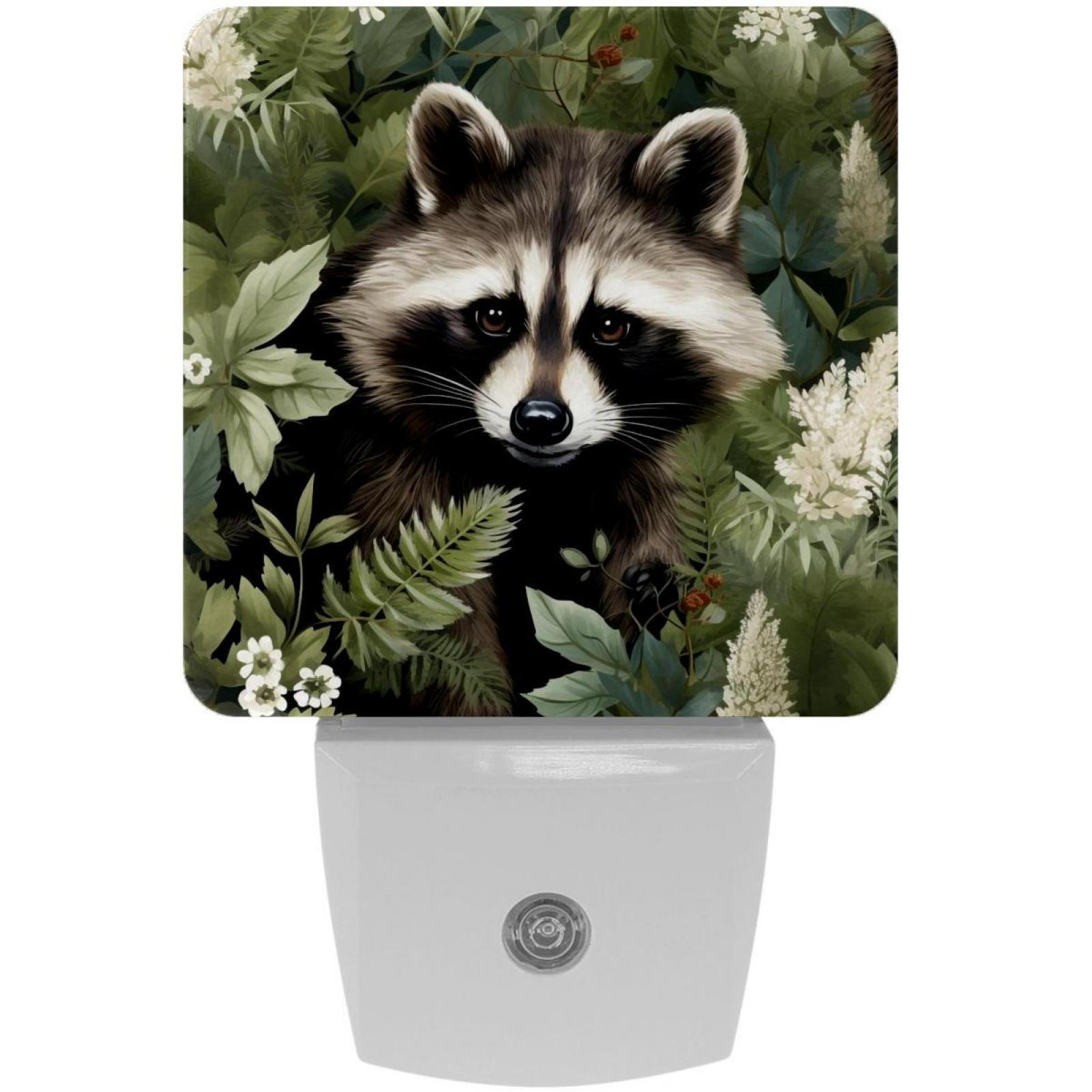 Raccoon LED Square Night Lights - Modern Design, Soft Glow, Energy ...