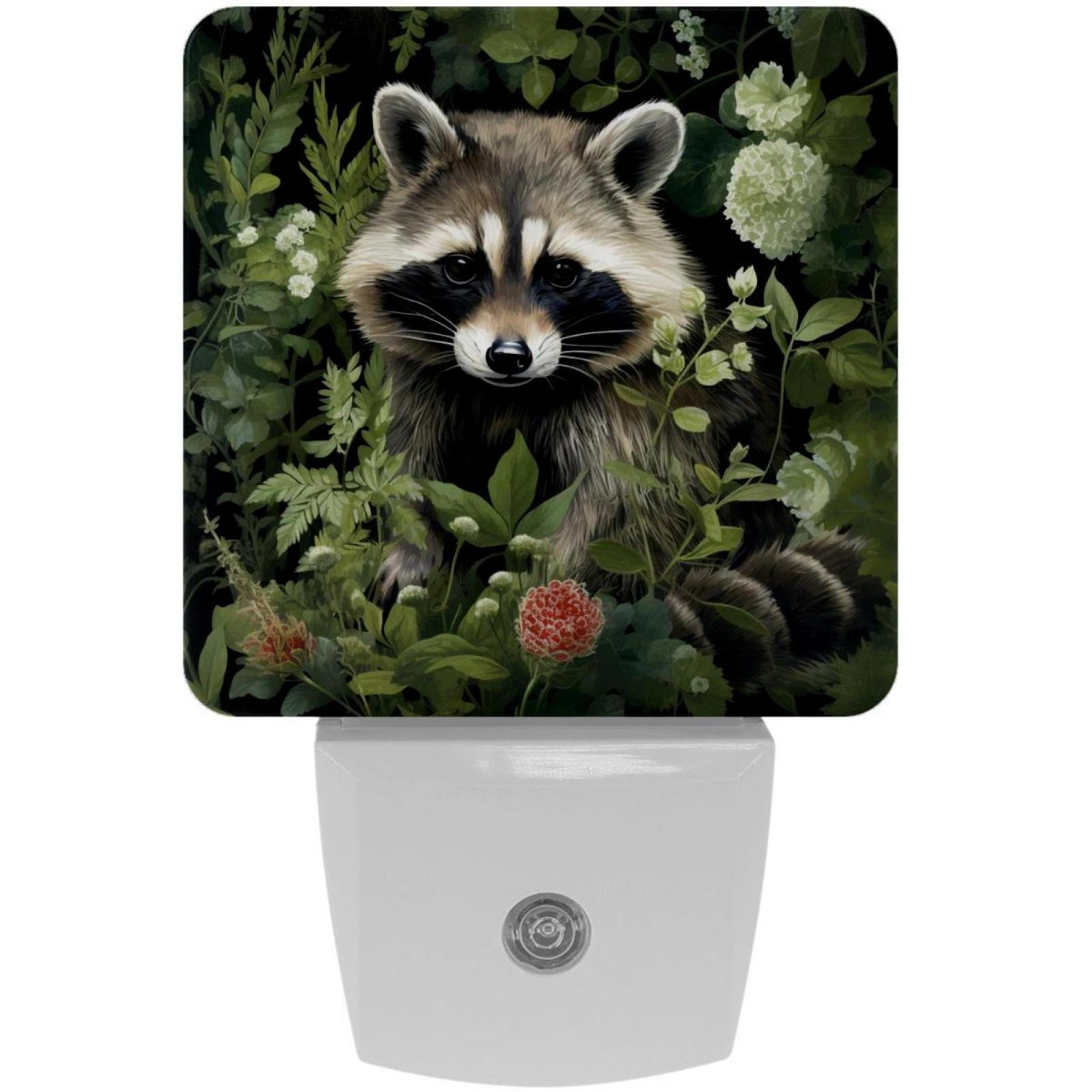 Raccoon LED Square Night Lights - Small and Bright Illumination for ...