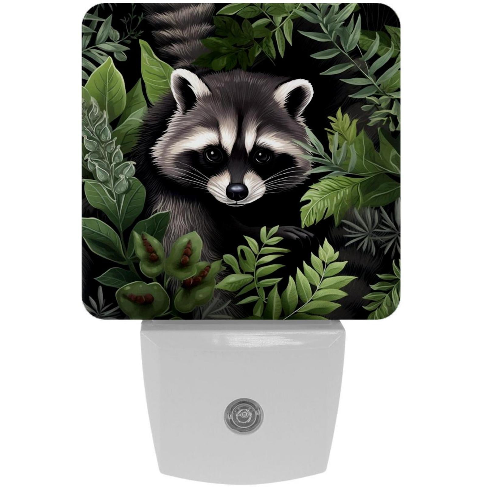 Raccoon LED Square Night Lights - Stylish and Convenient Illumination ...