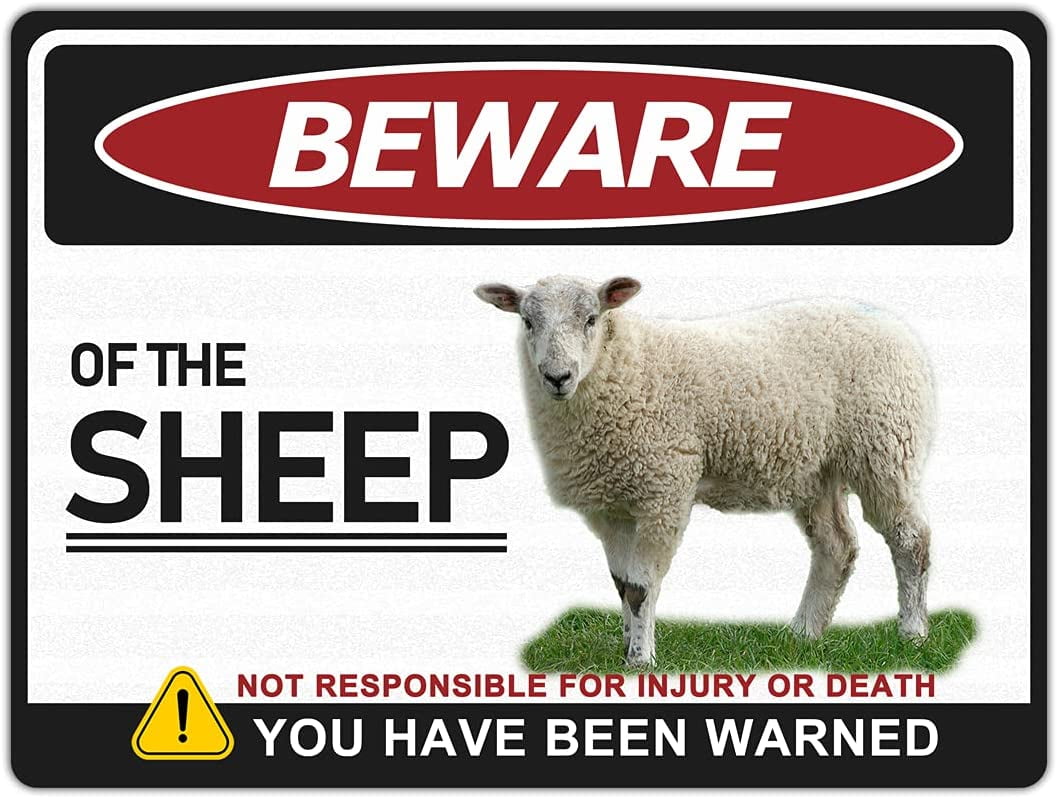 Raccoon Warning Sign 8x12inch, Beware of Raccoon Metal Signs for Home ...