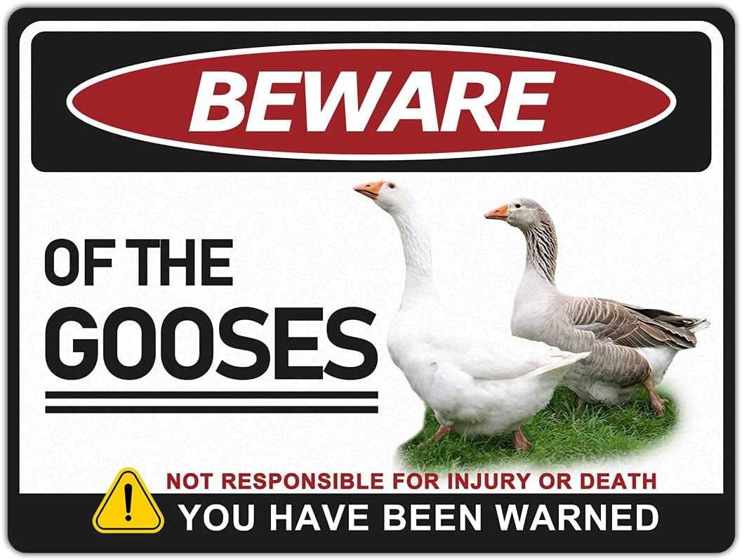 Raccoon Warning Sign 8x12inch, Beware of Raccoon Metal Signs for Home ...