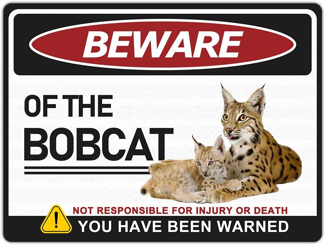 Raccoon Warning Sign 8x12inch, Beware of Raccoon Metal Signs for Home ...