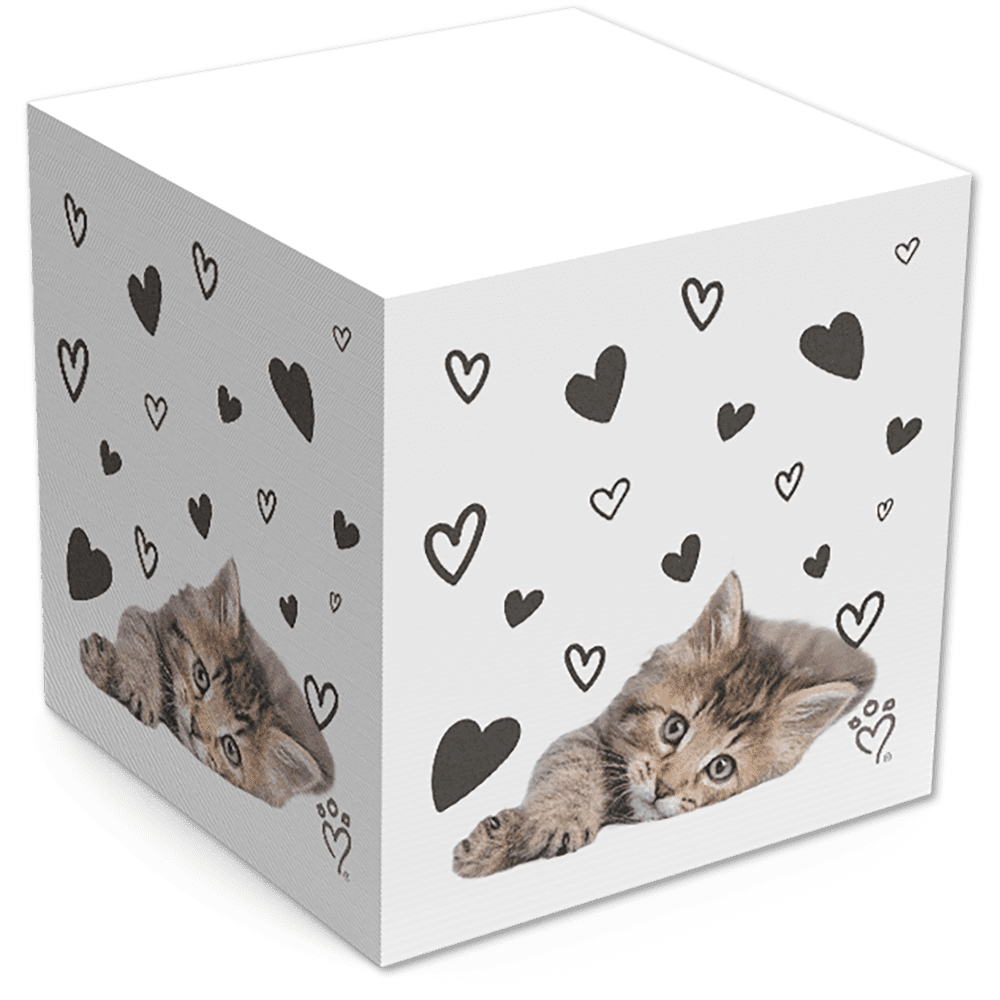 Rachael Hale 2 3/4 Sticky Note Cube, Gray Tabby Cat, 2/Pack - Walmart.com