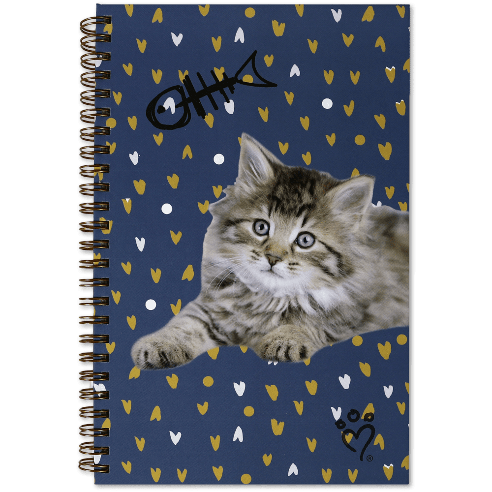 Rachael Hale 5.5 x 8.5 Hardcover Notebook with Black Spiral, Gray Tabby ...