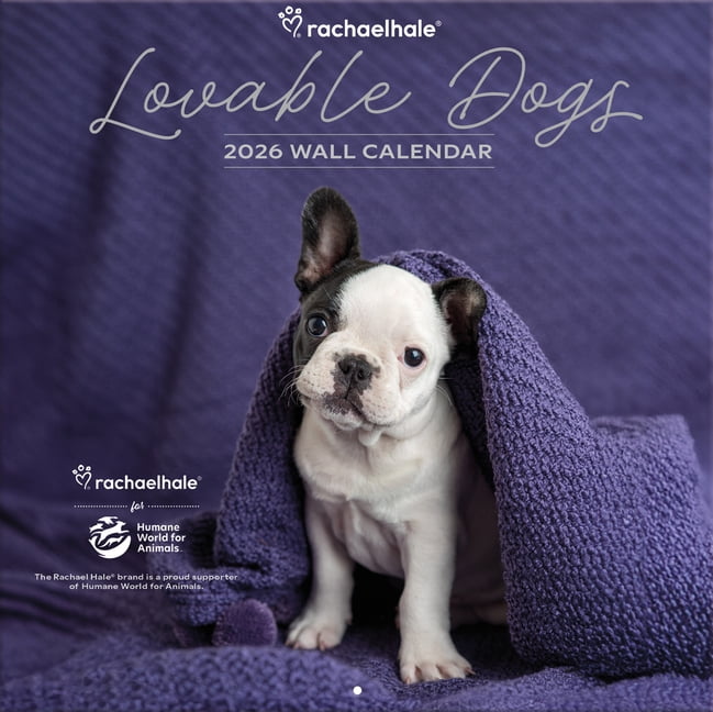 Rachael Hale + Nhs - Lovable Dogs 2026 Wall Calendar, (Paperback ...