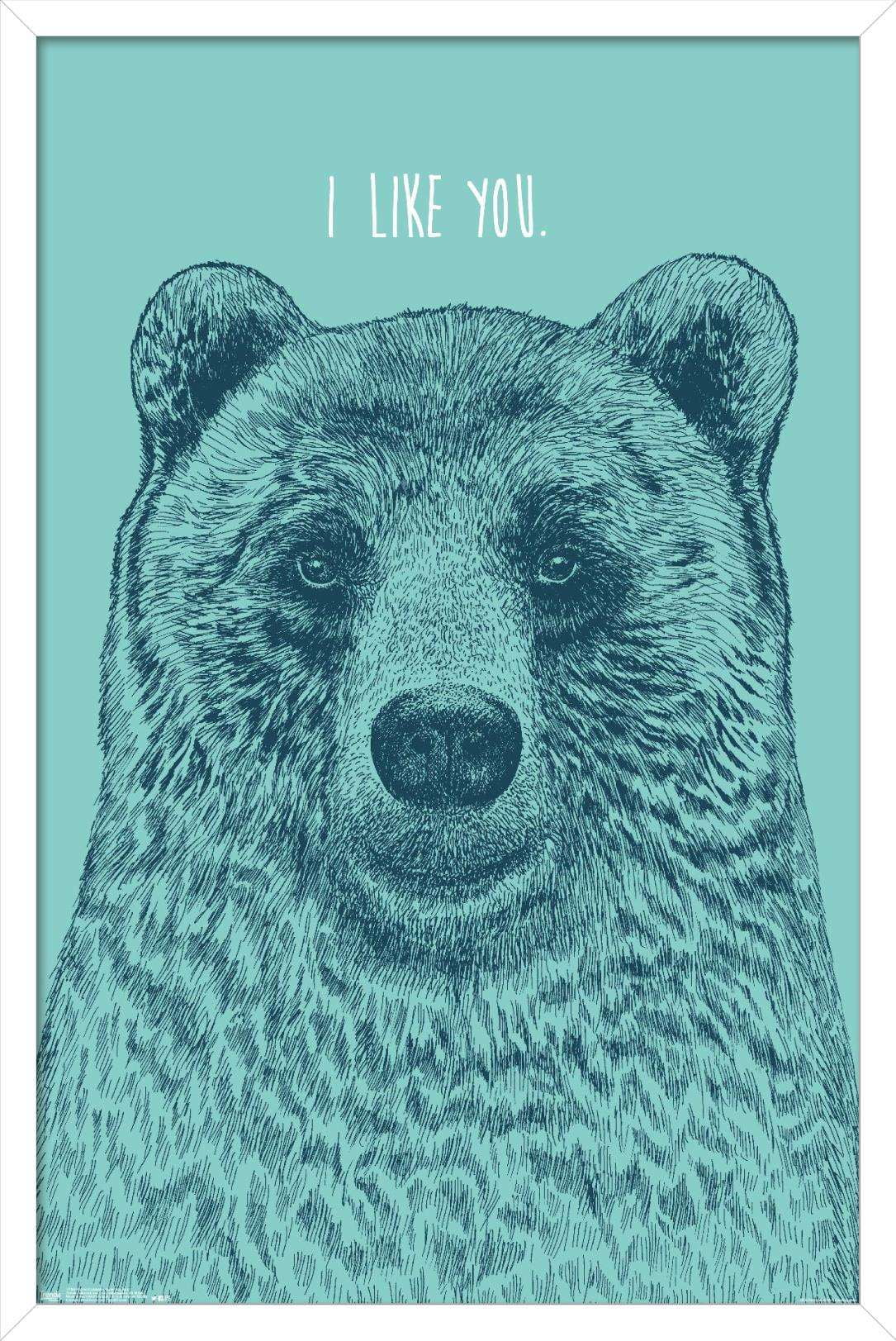 Rachel Caldwell - I Like You Bear Wall Poster, 14.725" x 22.375", Framed - Walmart.com