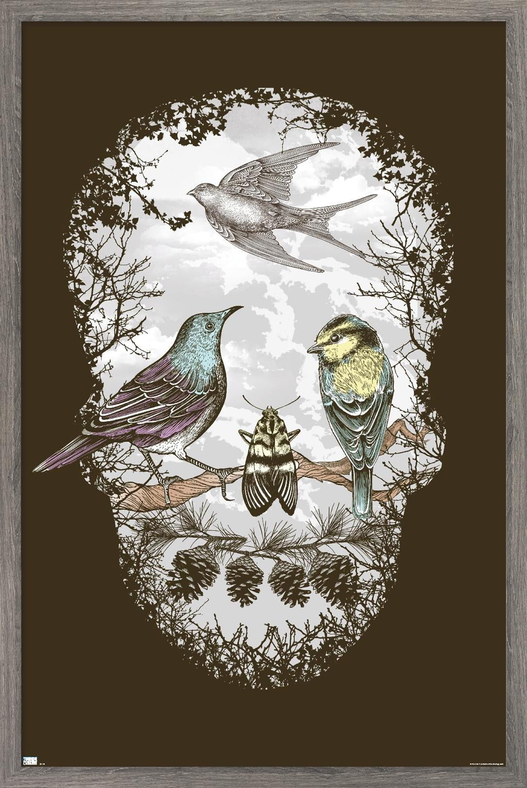 Rachel Caldwell - Nature's Skull Wall Poster, 22.375" x 34" Framed ...