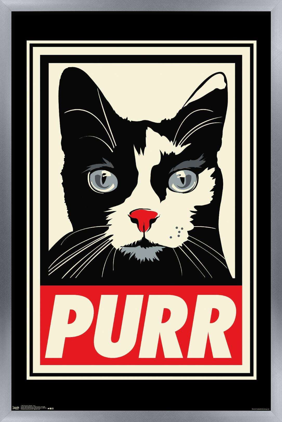 Rachel Caldwell - Purr Wall Poster, 14.725" x 22.375", Framed - Walmart ...