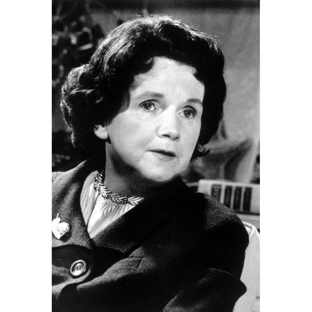 Rachel Carson History (18 x 24) - Walmart.com