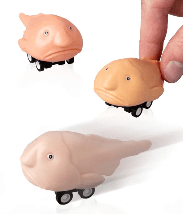 Racing Blobfish- Pull-back race cars that look like derpy, deep-water ...