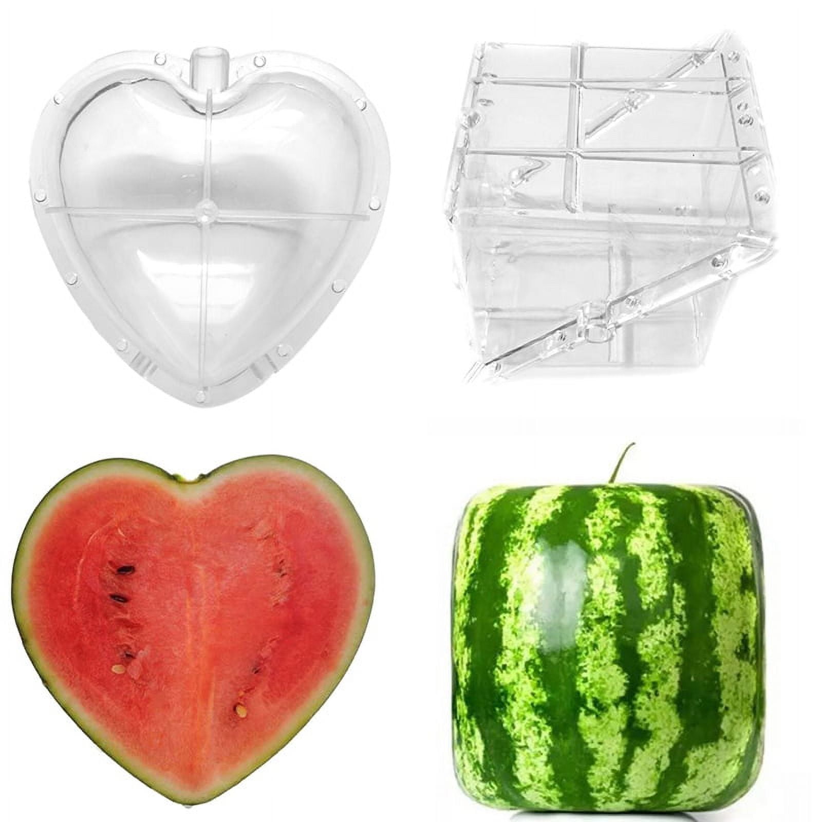 Racing Butterfly Square Heart Fruit Growth Forming Shaping Mold ...