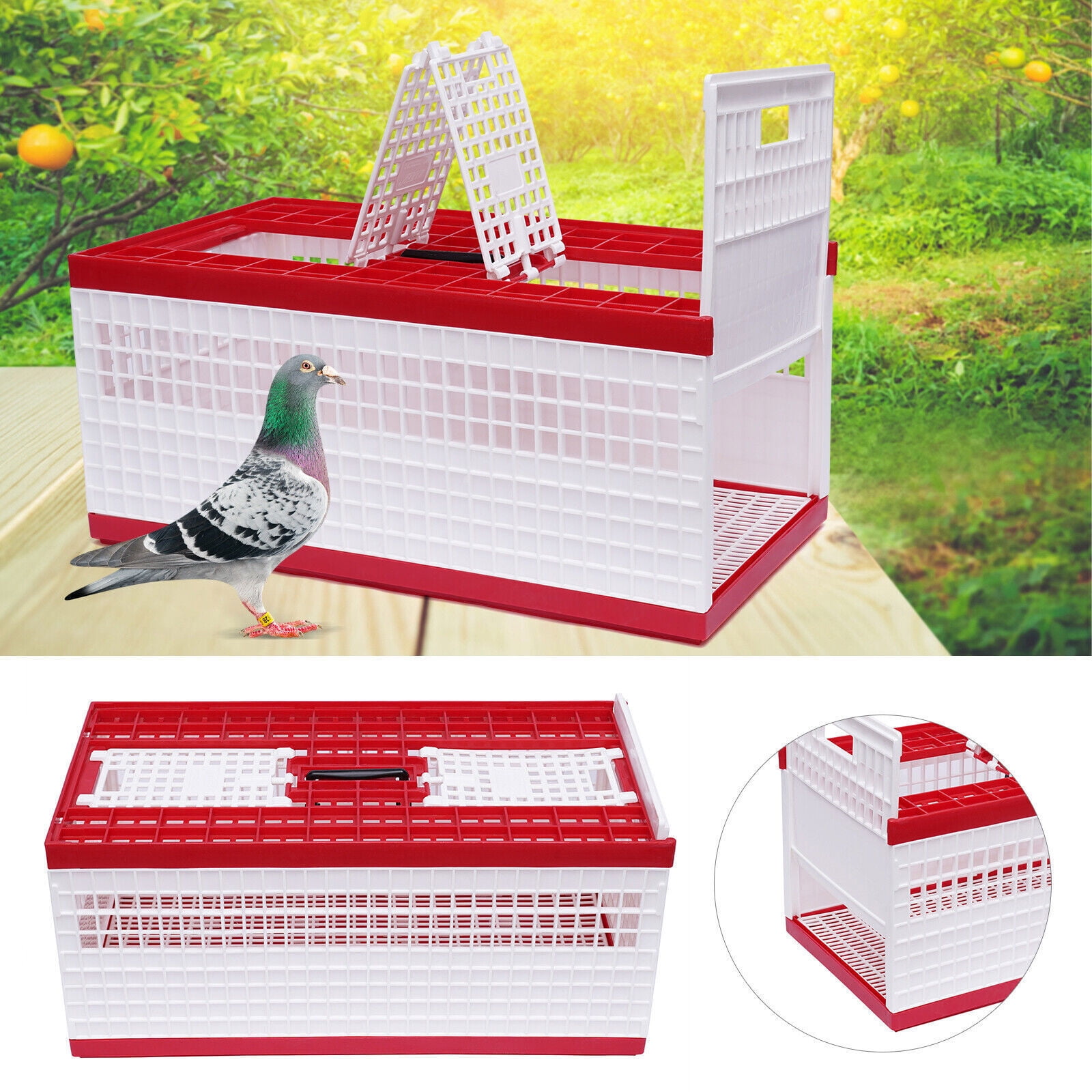 Racing Pigeon Carrier Box Bird Training Basket & 2 Side Doors 2 Top ...
