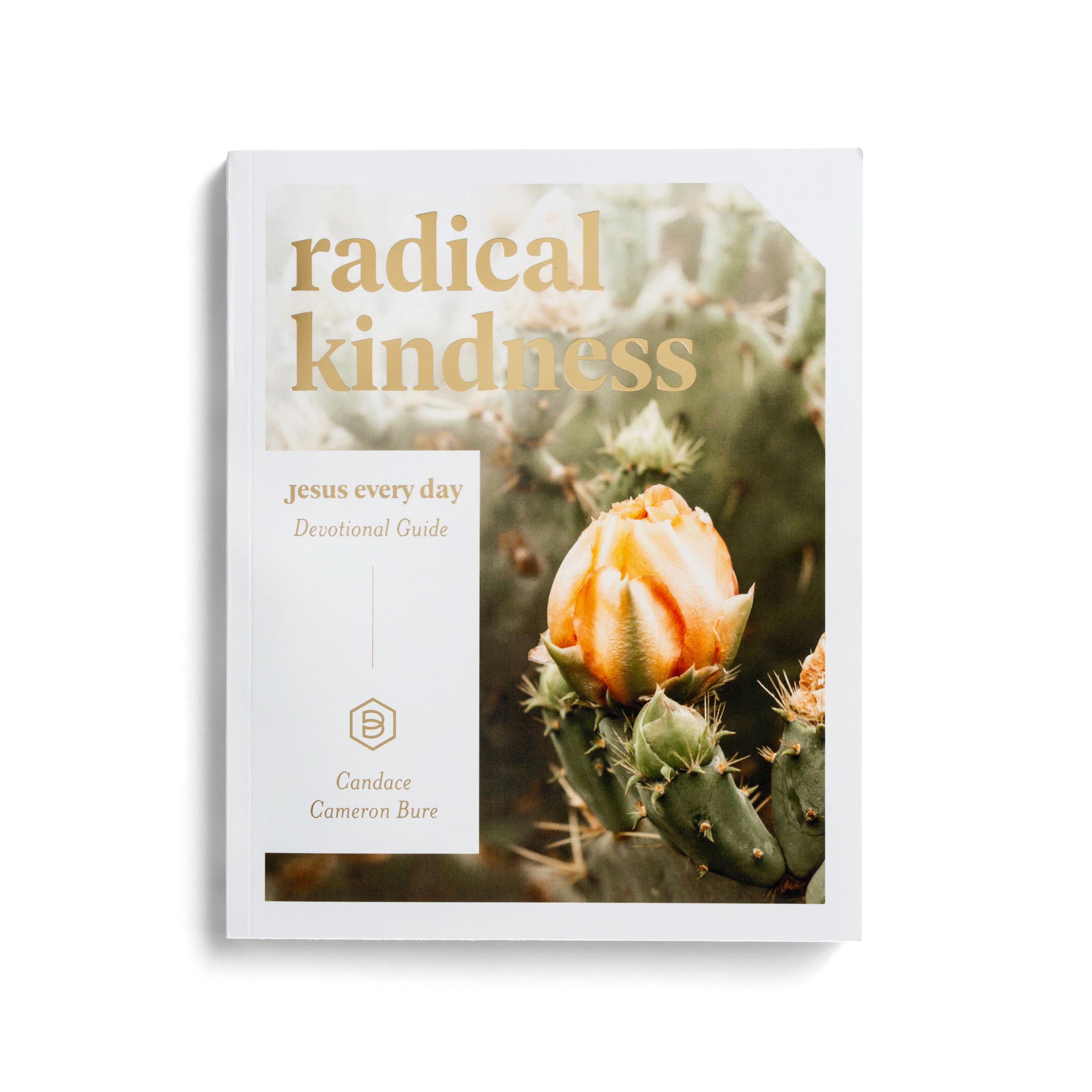 Radical Kindness: Jesus Every Day Devotional Guide - Walmart.com
