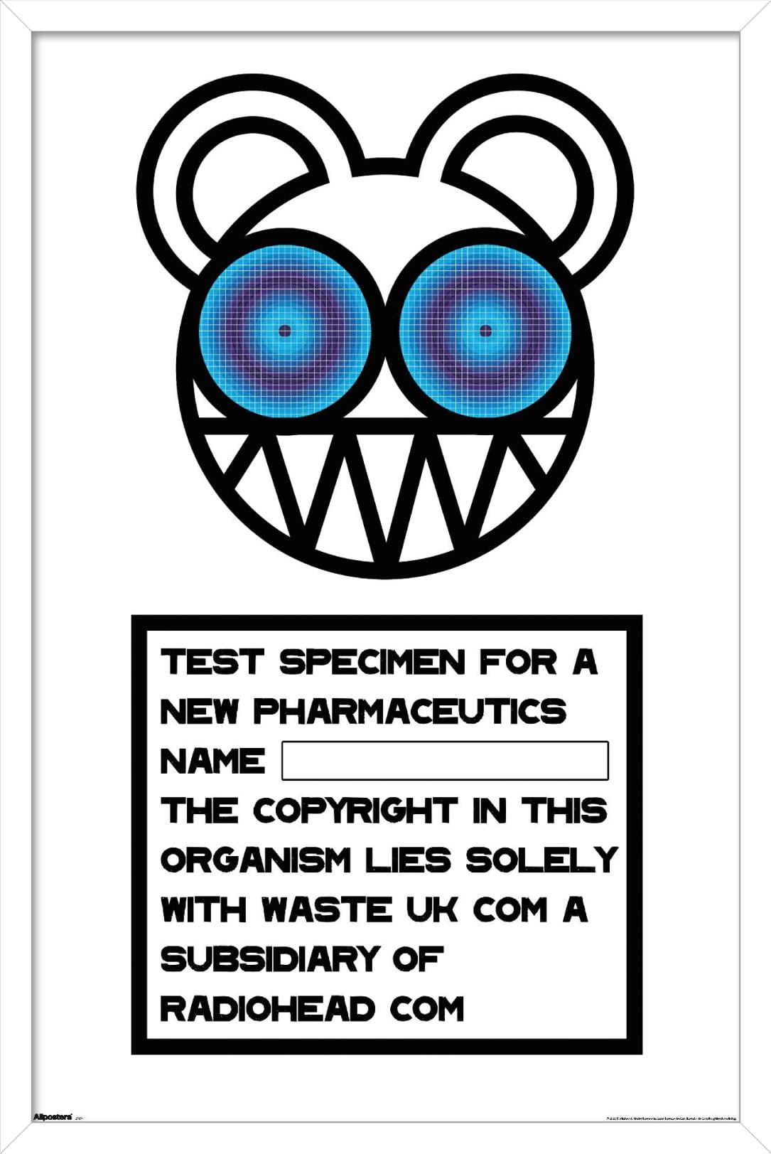 Radiohead - Blue Bear Specimen Wall Poster, 14.725" x 22.375" Framed ...