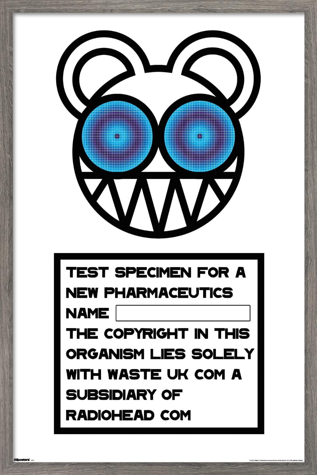 Radiohead - Blue Bear Specimen Wall Poster, 22.375" x 34" Framed ...