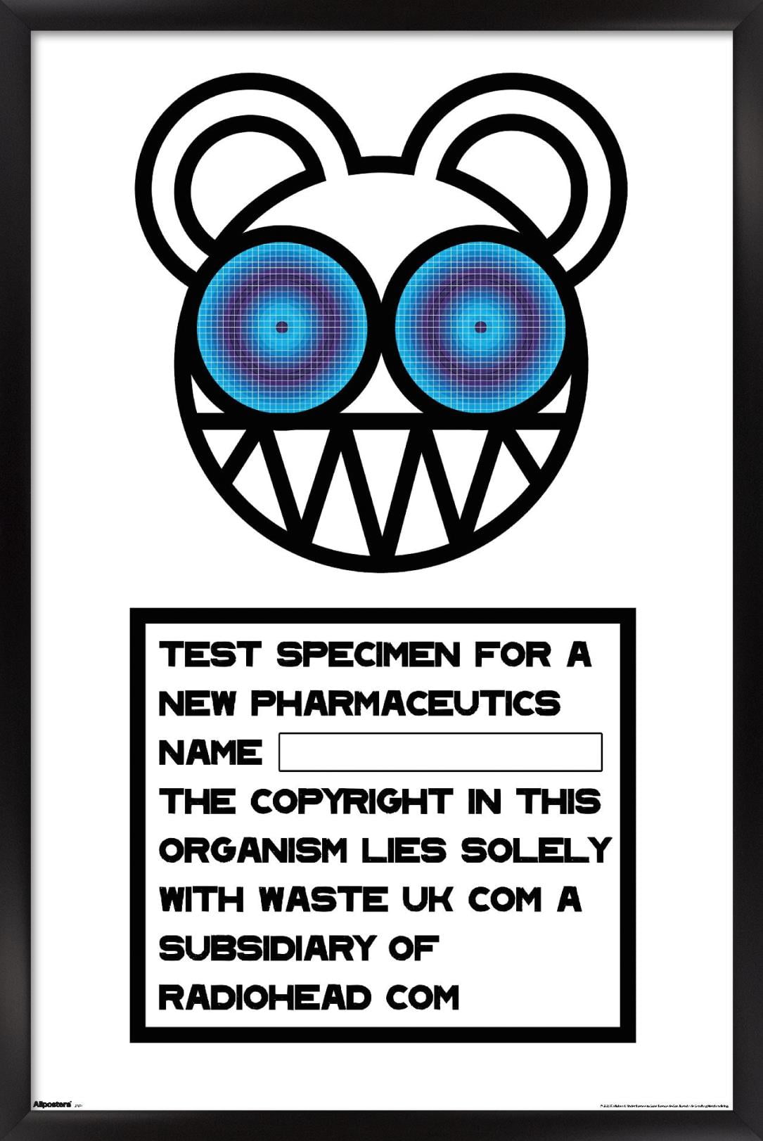 Radiohead - Blue Bear Specimen Wall Poster, 22.375" x 34" Framed ...