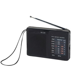 Portable Tv Radios
