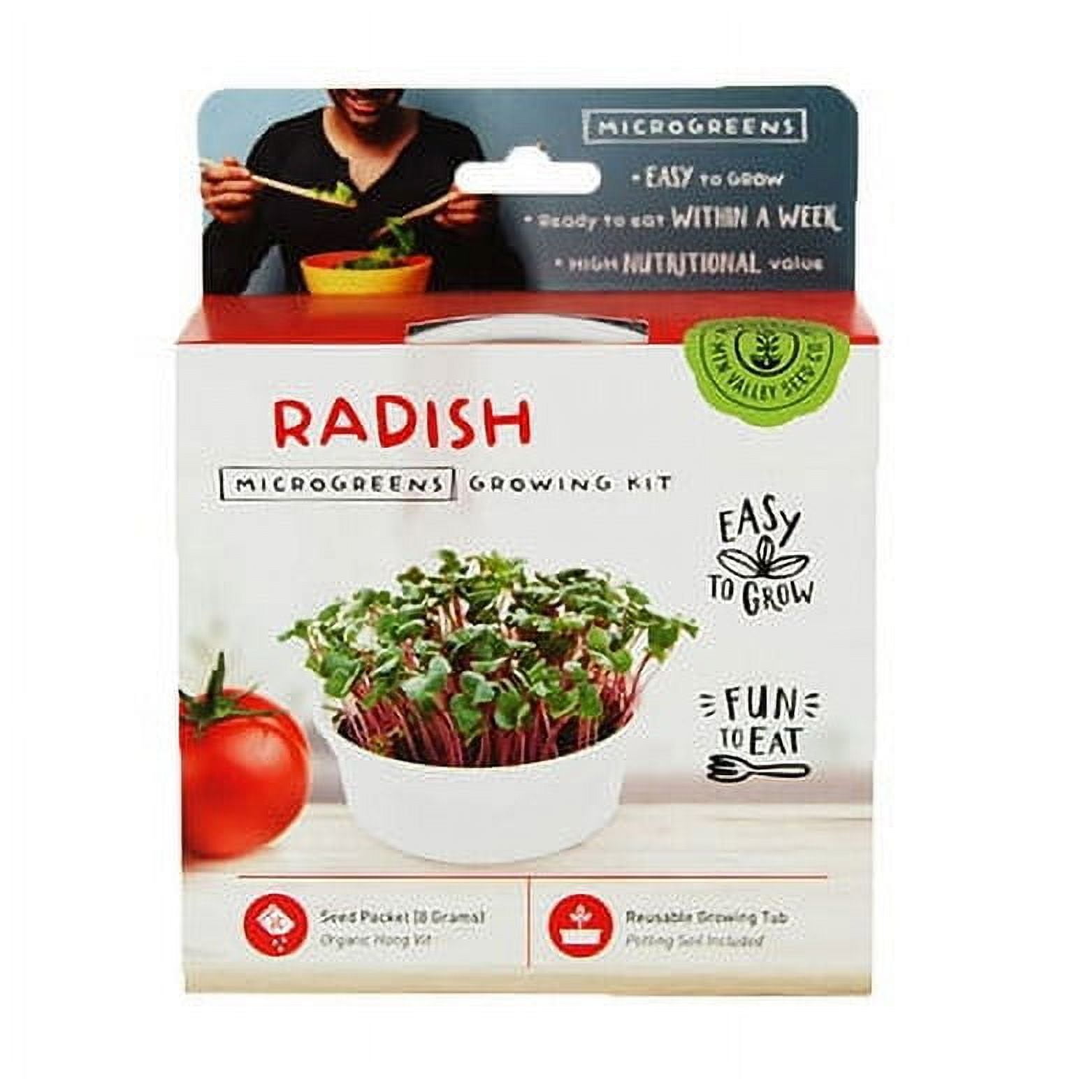 Radish Microgreen Kit - Walmart.com