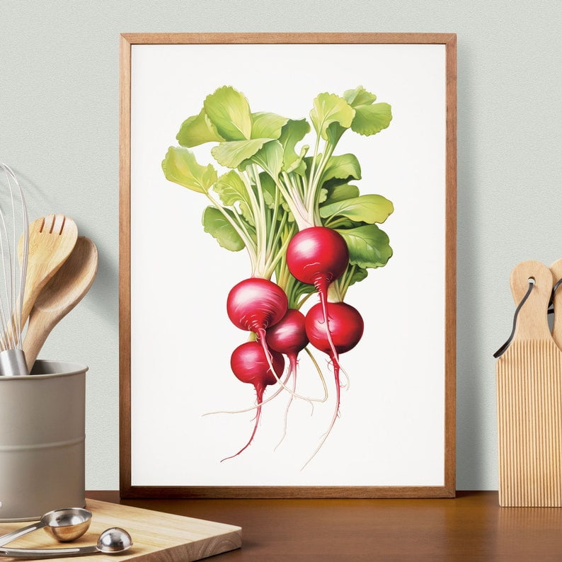 Radish Print Vegetable Food Poster Healthy Wall Art Decoration ...