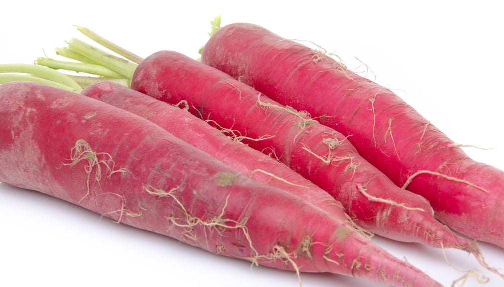 Radish Red Arrow Sprouting Microgreen Heirloom Vegetable By Seed ...