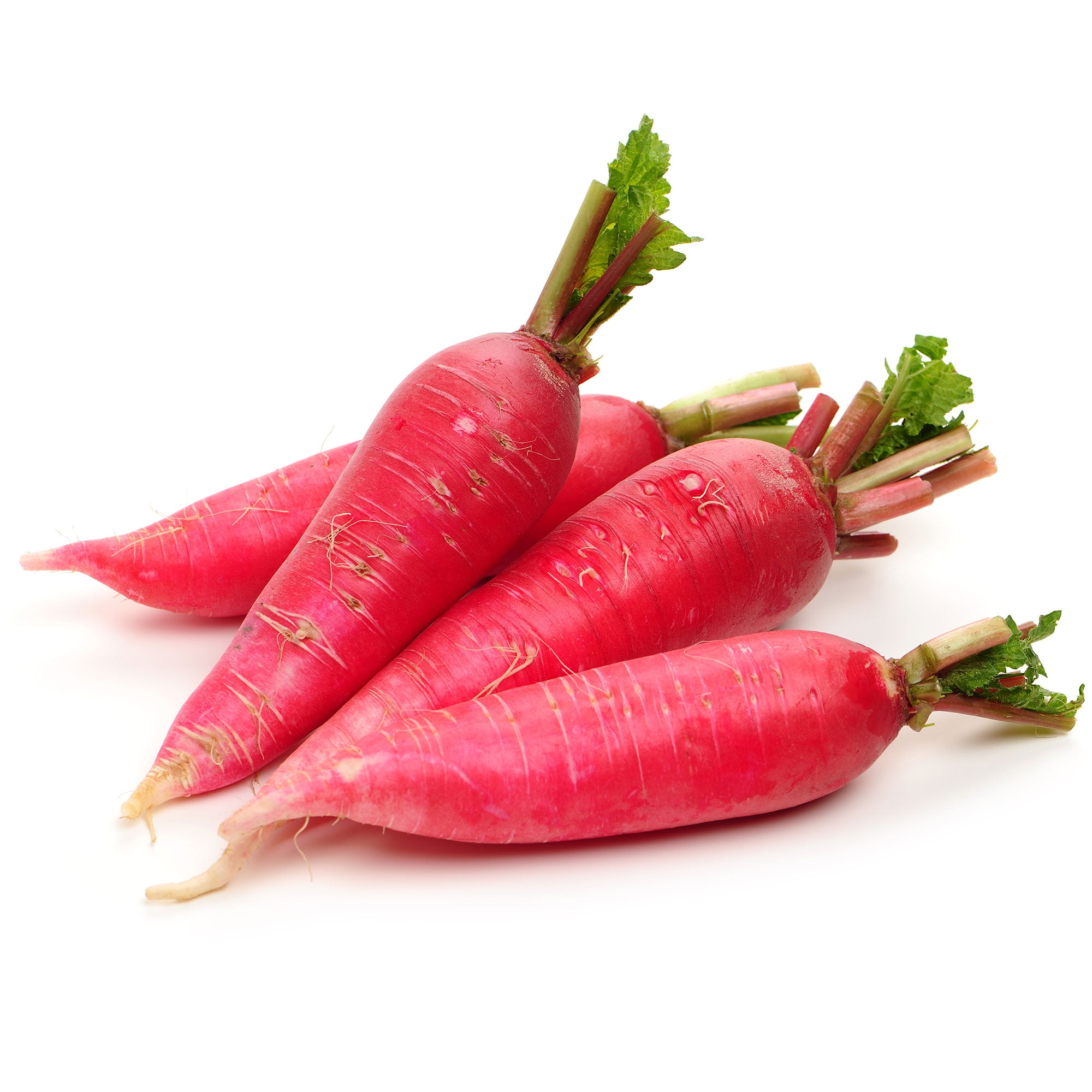 Radish Seeds - Chinese - Shunkyo - 1 Oz ~3180 Seeds - Non-GMO, Heirloom ...