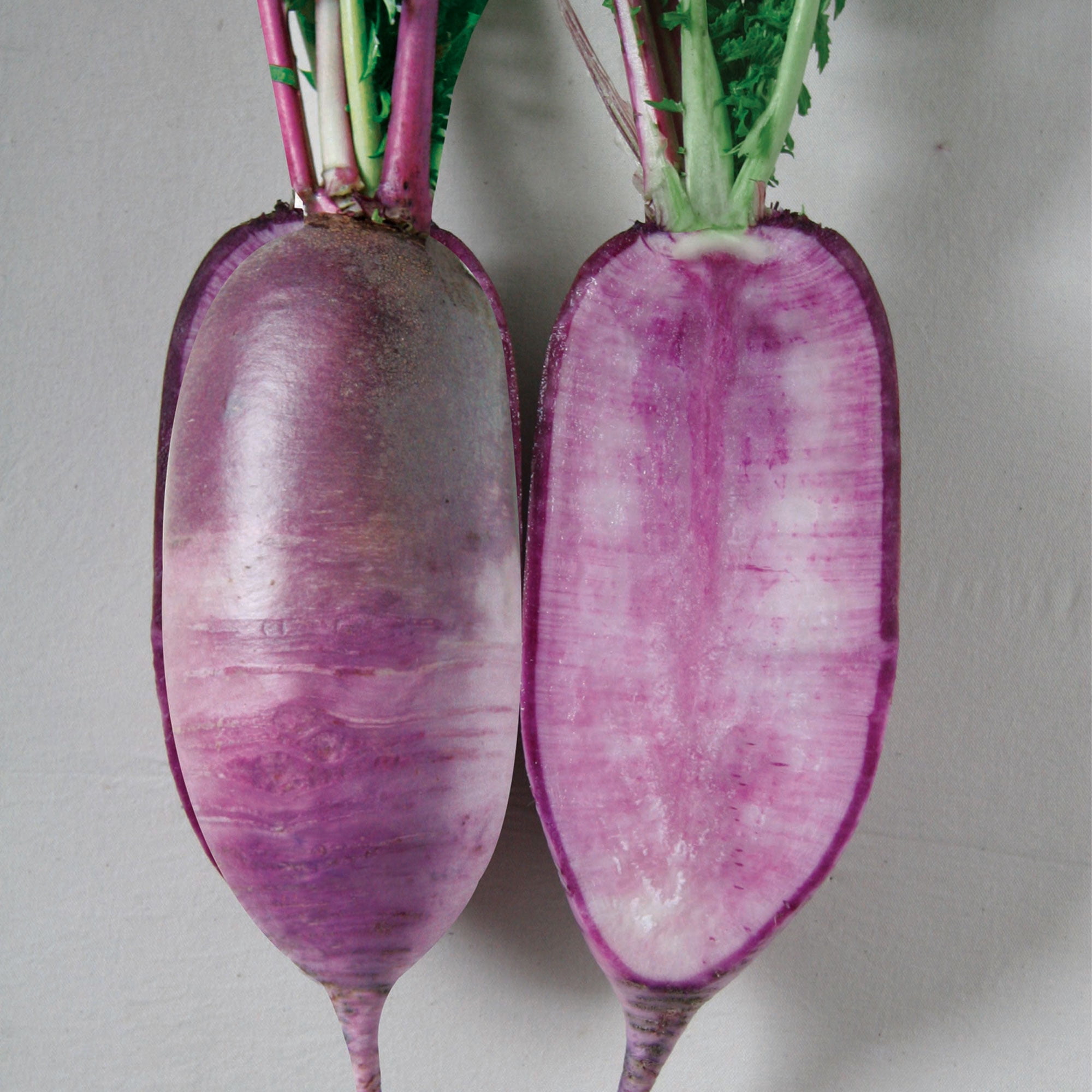 Radish Seeds - Korean - Bora King - Hybrid - 1 Oz ~3000 Seeds - Non-GMO ...