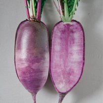 Radish Seeds - Chinese - Shunkyo - 2 g Packet ~225 Seeds - Non-GMO ...