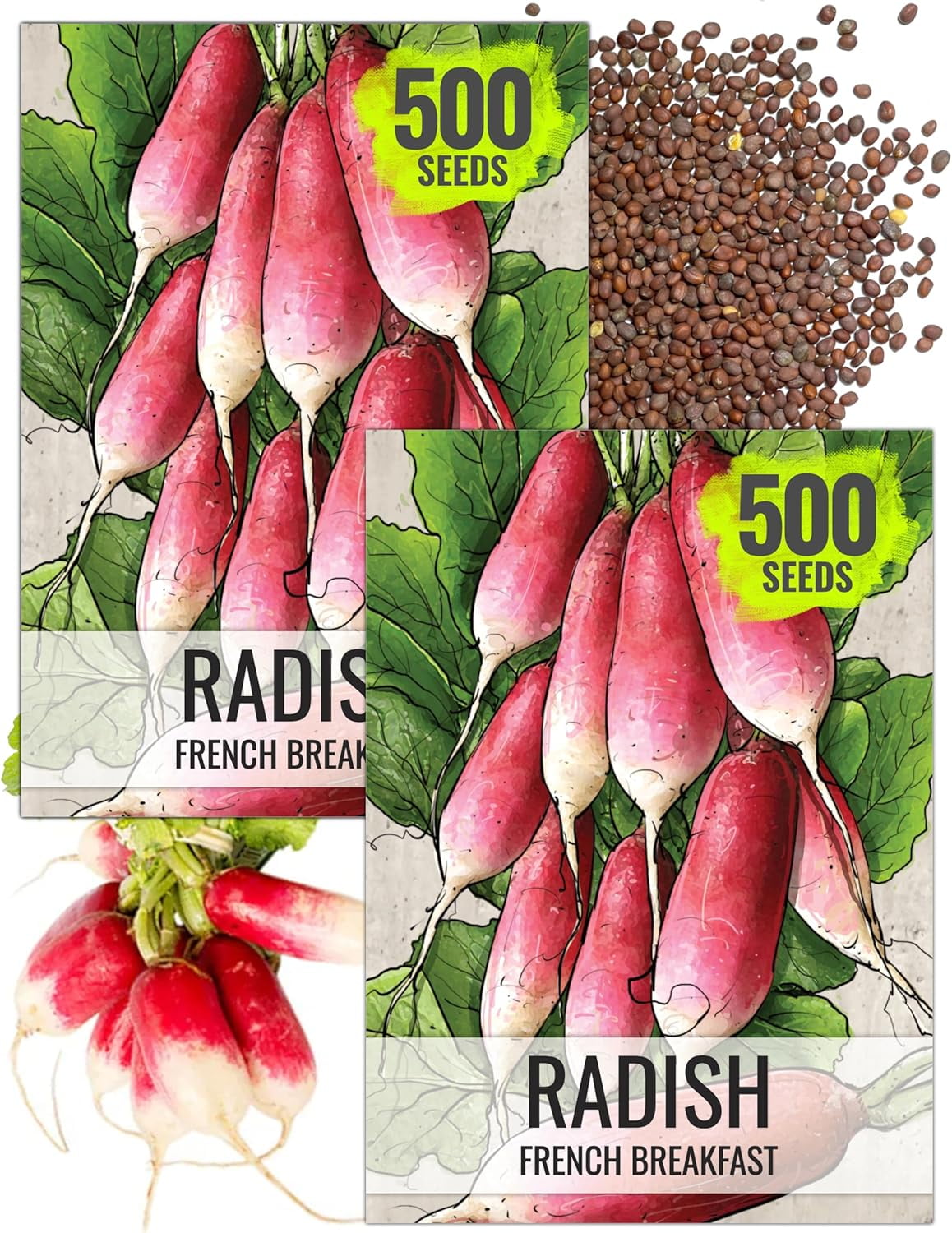Radish Seeds for Planting French Breakfast Radishes - Non-GMO Heirloom ...