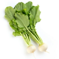 Radish Seeds - Chinese - Shunkyo - 2 g Packet ~225 Seeds - Non-GMO ...