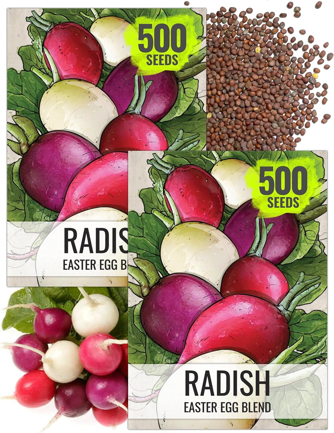 Radish Seeds for Planting Easter Egg Radishes - Non-GMO Heirloom ...